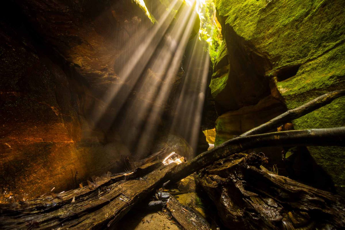 Claustral Canyon | High and Wild