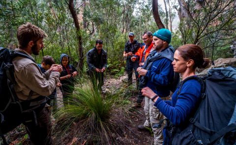 Bush Survival and Bushcraft Courses | High and Wild