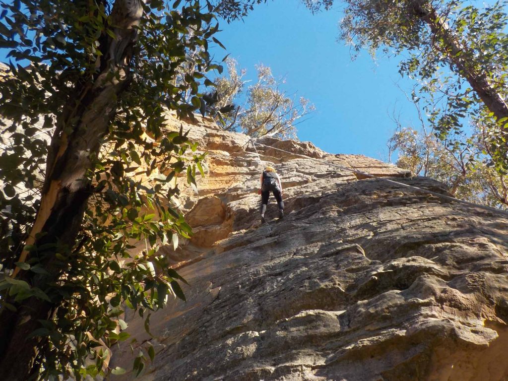 Blue Mountains Rock Climbing | High and Wild