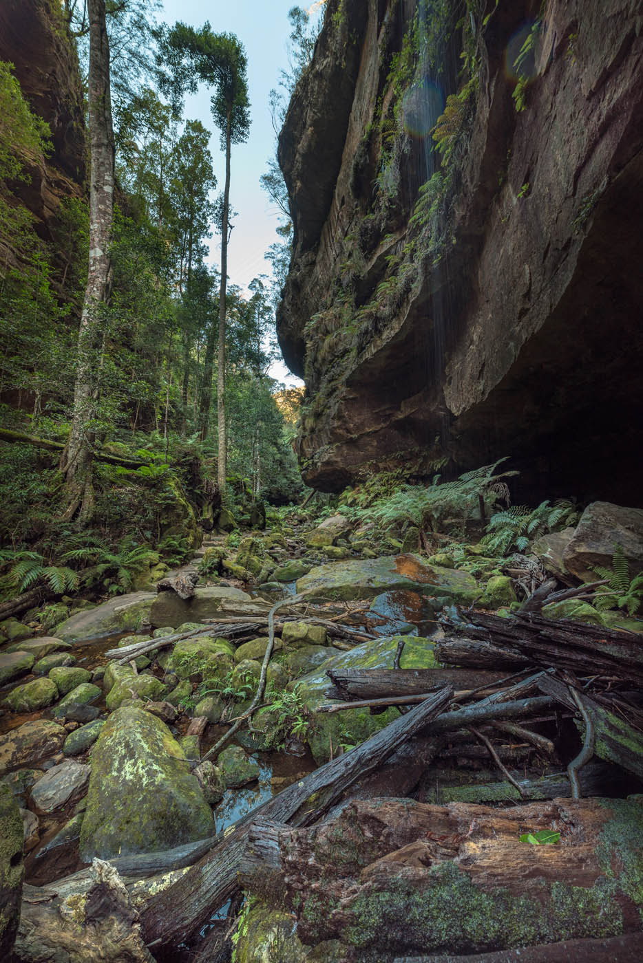 Tiger Snake Canyon | High and Wild
