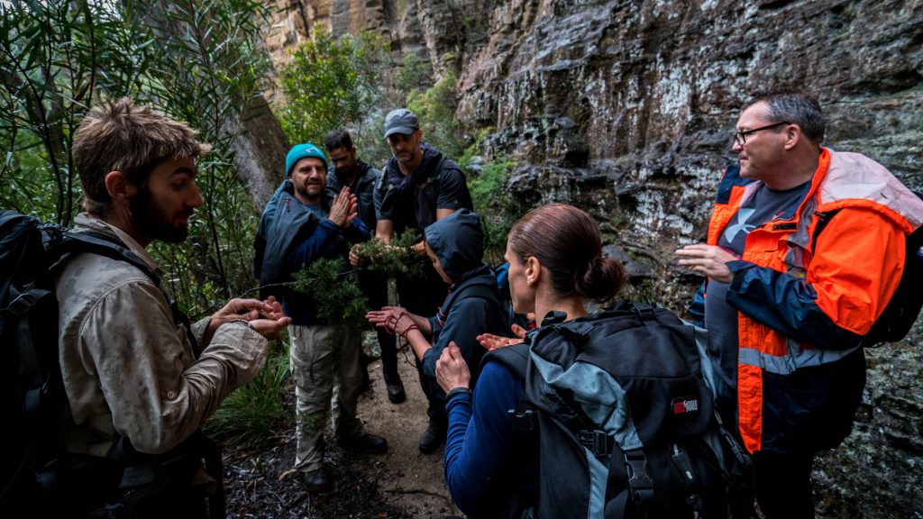 Blue Mountains Bush Survival Course | High and Wild